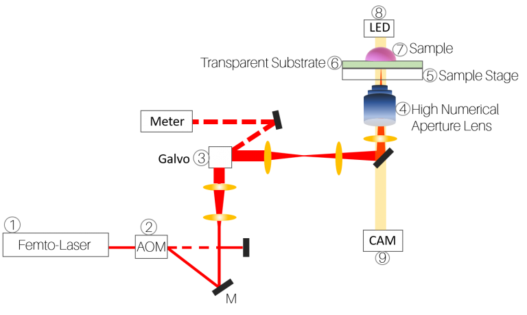 Two-Photon Lithography System | Direct Laser Writing