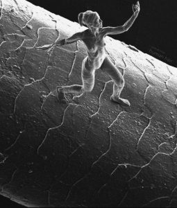 An Introduction to Direct Laser Writing (DLW) | Direct Laser Writing