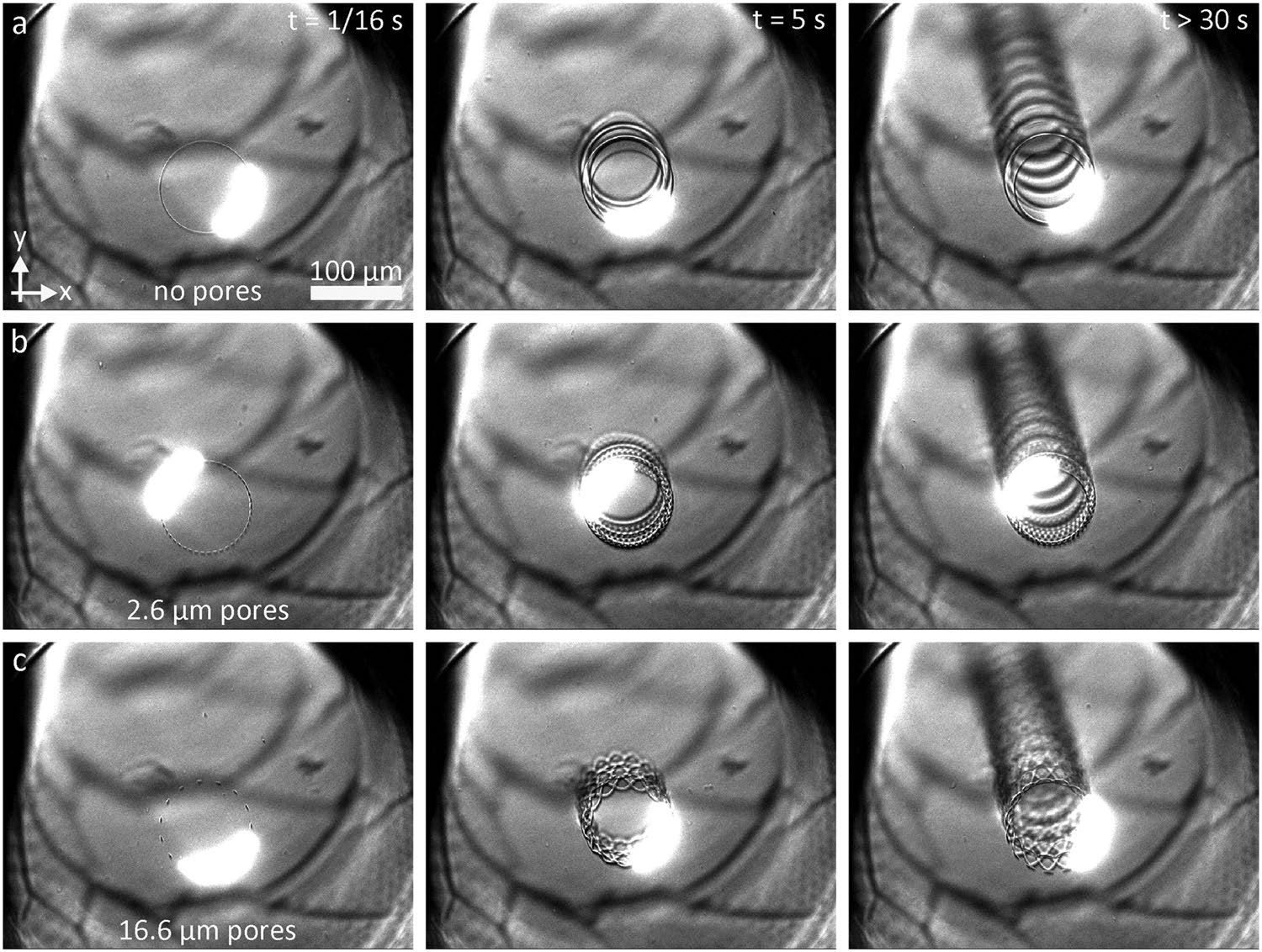 Unleashing Continuous Precision: Microtube Synthesis with Two-Photon ...